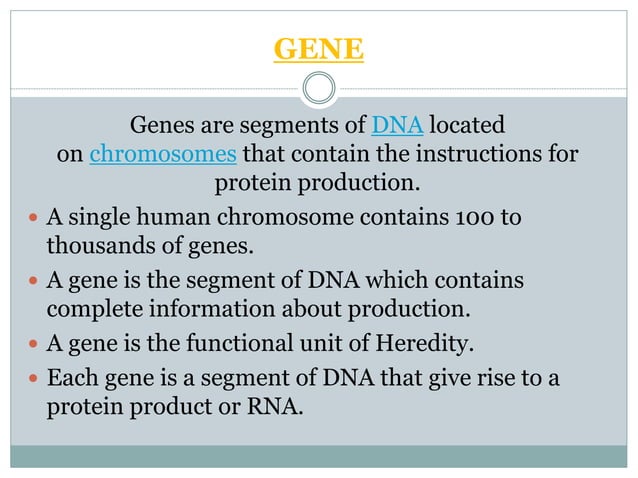 The structure & function of genes | PPTX | Genetics | Science