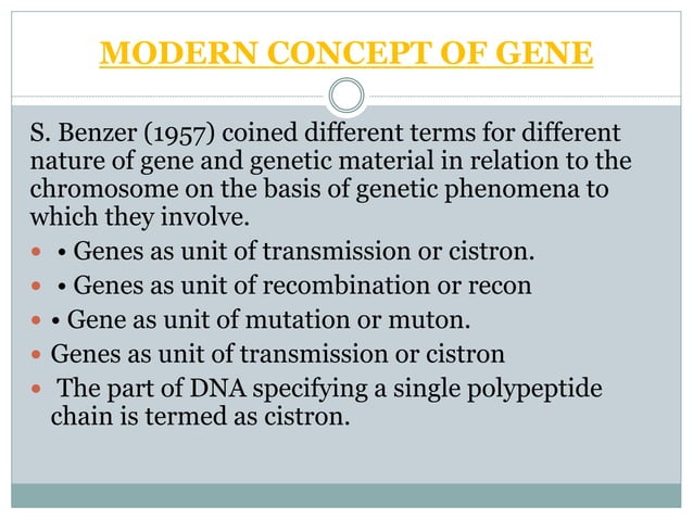 The structure & function of genes | PPTX | Genetics | Science