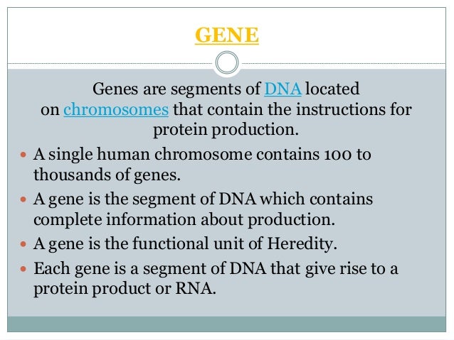 The structure & function of genes