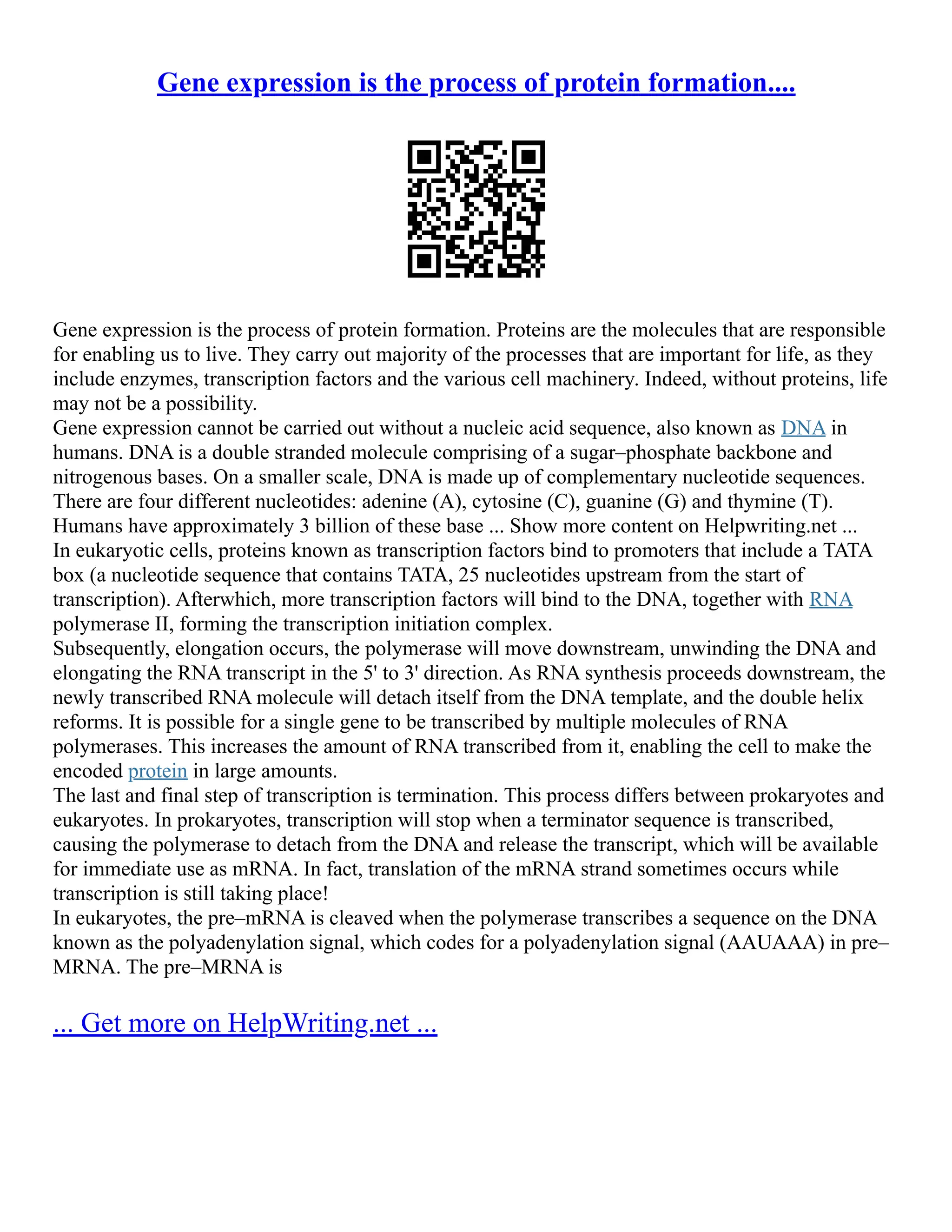 The Structure Of A Double Helix | PDF