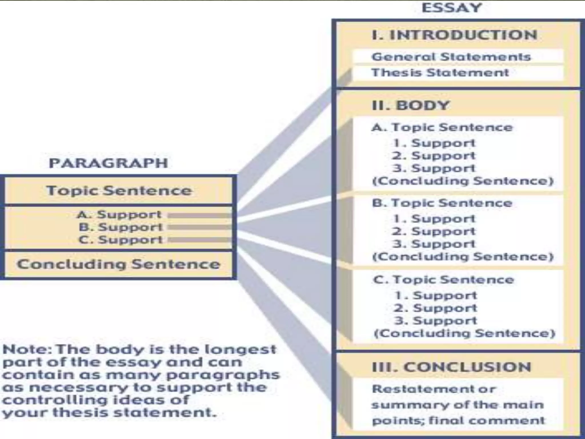 The structure of an essay | PPTX