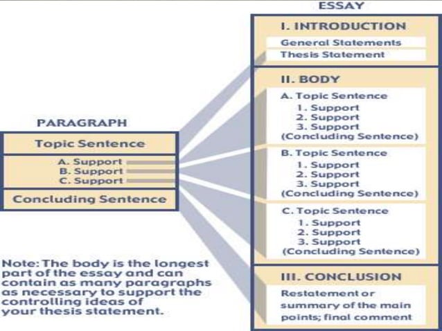 The structure of an essay | PPT