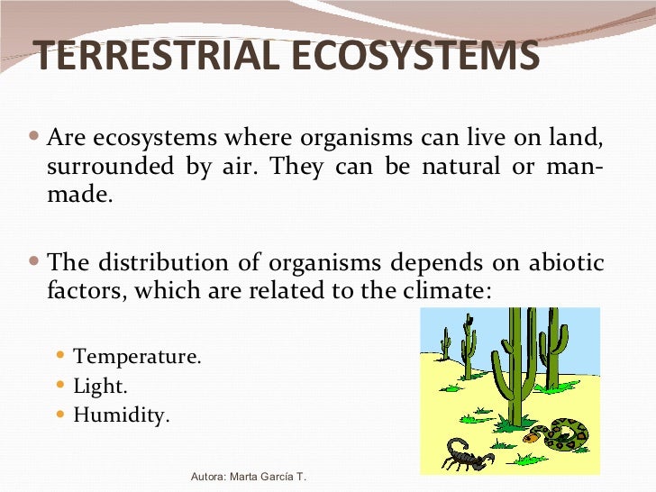 Types Of Terrestrial Ecosystem