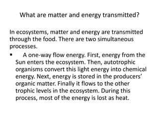 The structure of ecosystems.theory | PPTX
