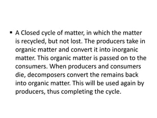 The structure of ecosystems.theory | PPTX | Geography | Science