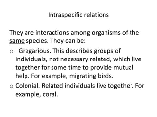 The structure of ecosystems.theory | PPTX