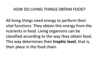 The structure of ecosystems.theory | PPTX | Geography | Science
