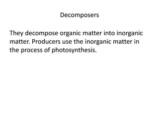 The structure of ecosystems.theory | PPTX