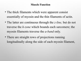 The structurdddddddddddddddde of muscle.pptx