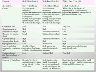 The structurdddddddddddddddde of muscle.pptx