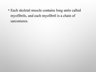The structurdddddddddddddddde of muscle.pptx