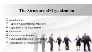 The Structure of Organization in pp.pptx | Free Download