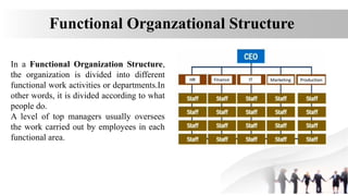 The Structure of Organization in pp.pptx | Free Download