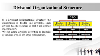 The Structure of Organization in pp.pptx | Free Download