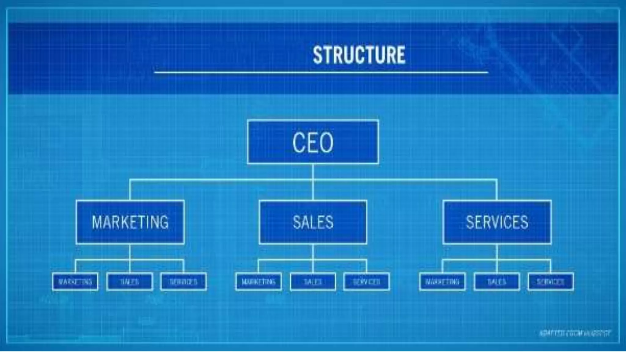 The Structure of organizations | PPTX