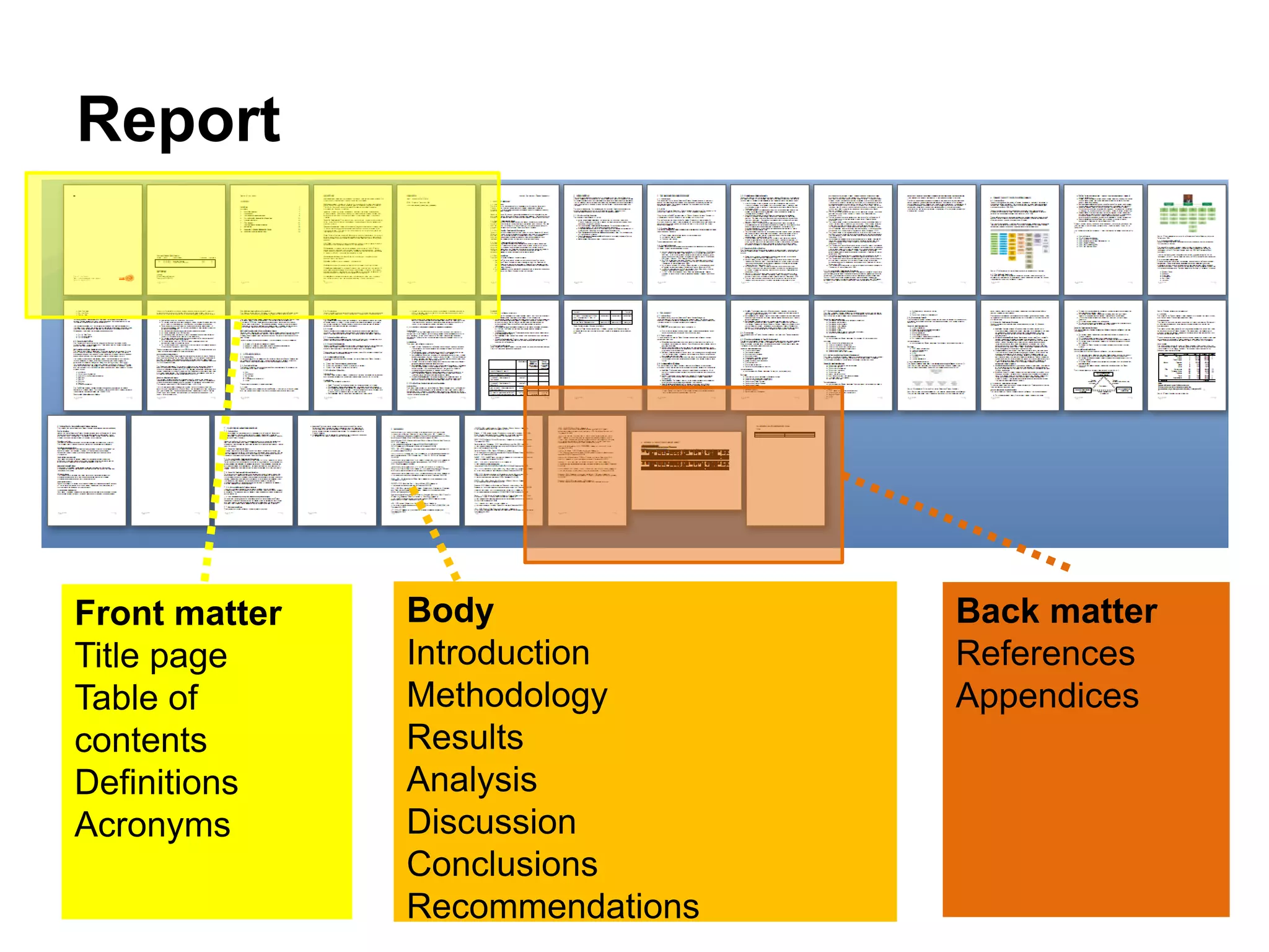 The structure of reports | PDF