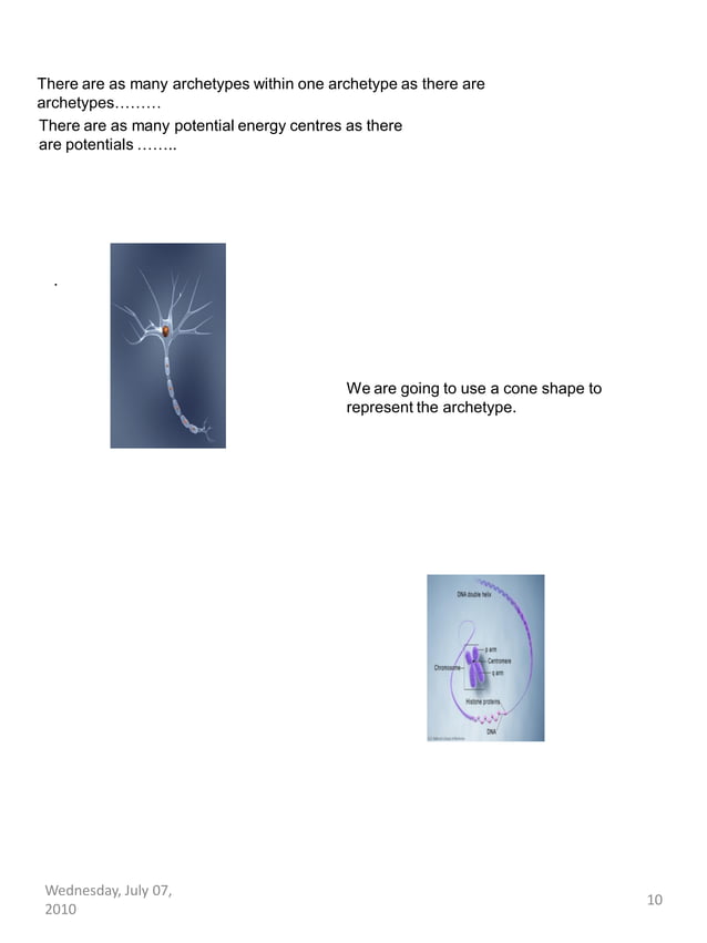 The Structure Of The Archetype Pdf