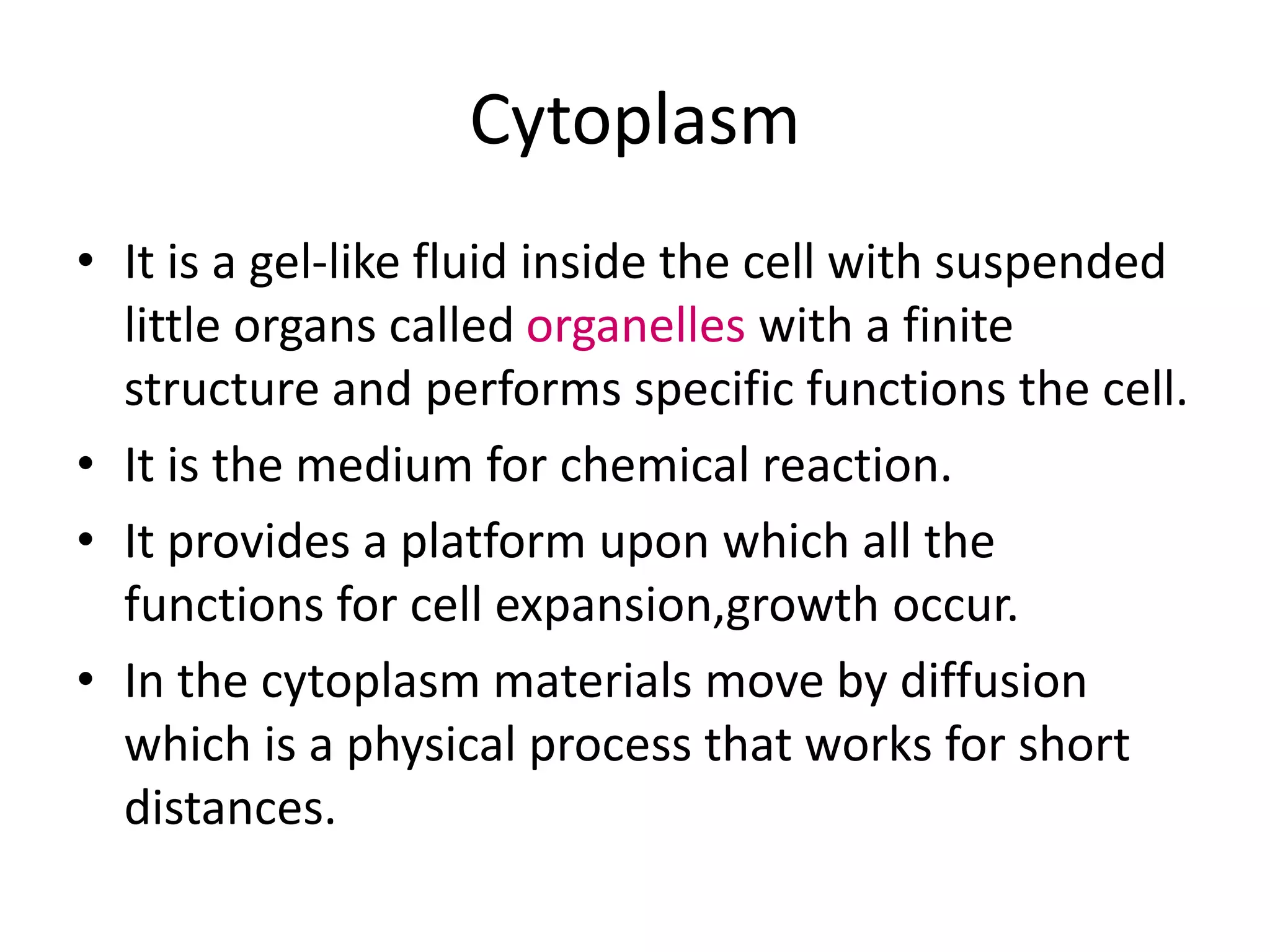 The structure of the cell.pptx