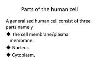 The structure of the cell.pptx