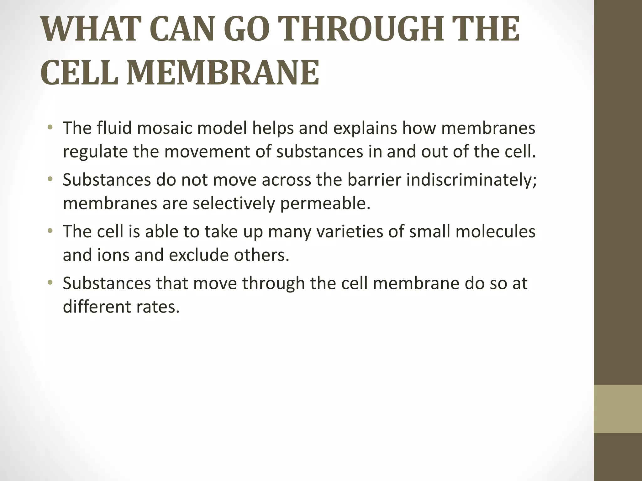 THE STRUCTURE OF THE CELL MEMBRANE.pptx