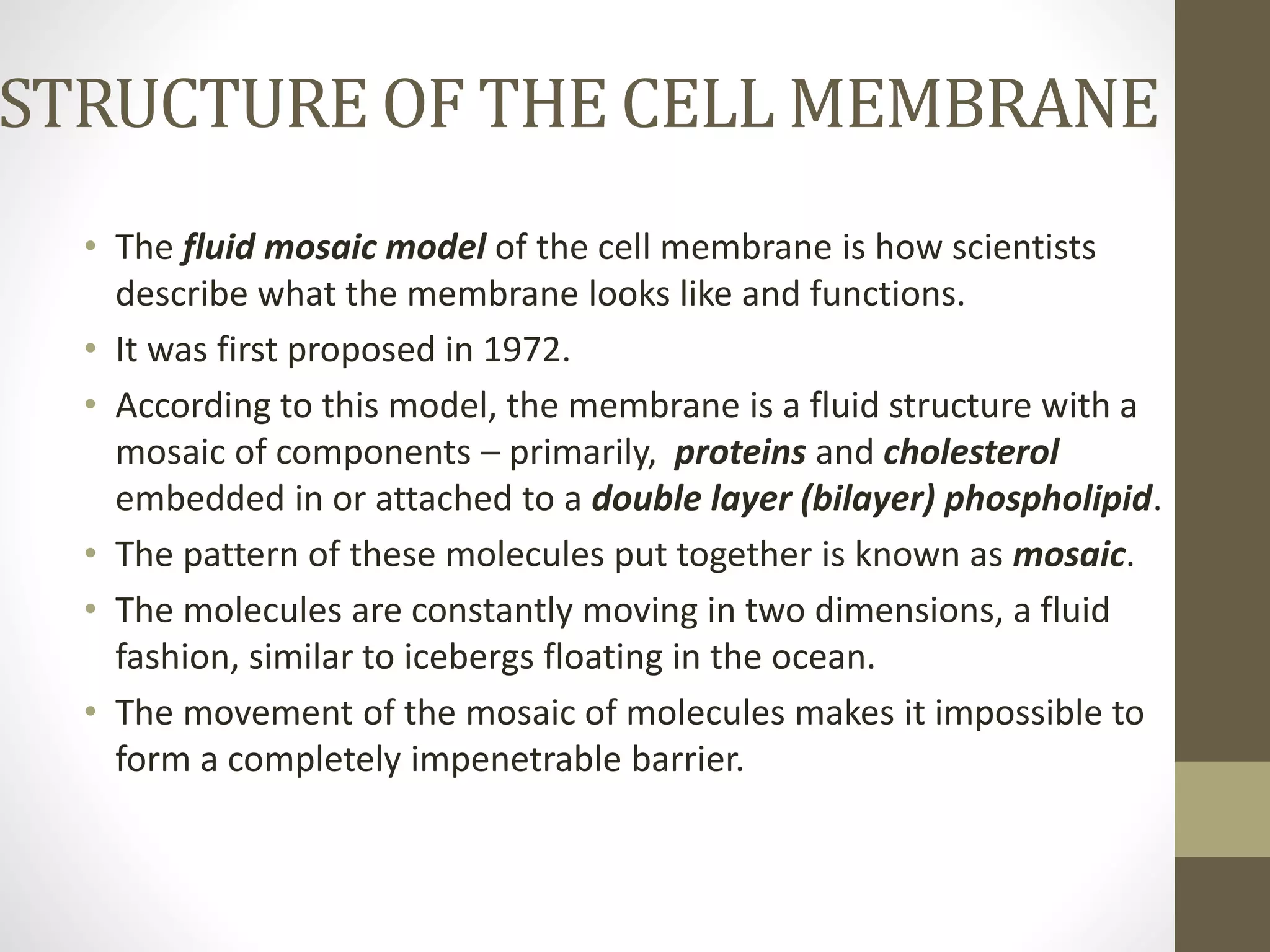 THE STRUCTURE OF THE CELL MEMBRANE.pptx