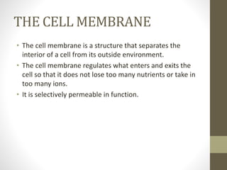 THE STRUCTURE OF THE CELL MEMBRANE.pptx
