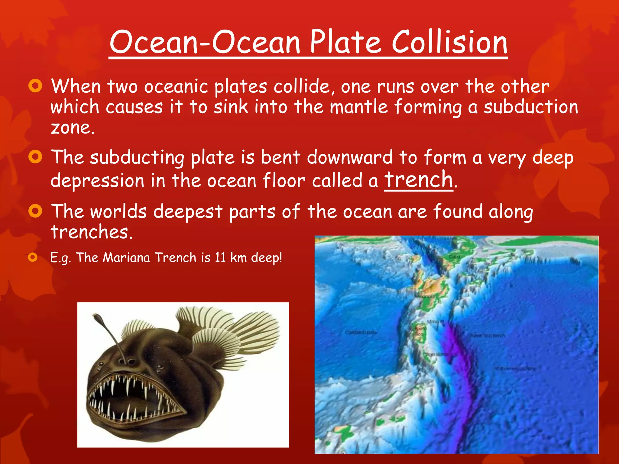 The structure of the earth and plate tectonics | PPTX