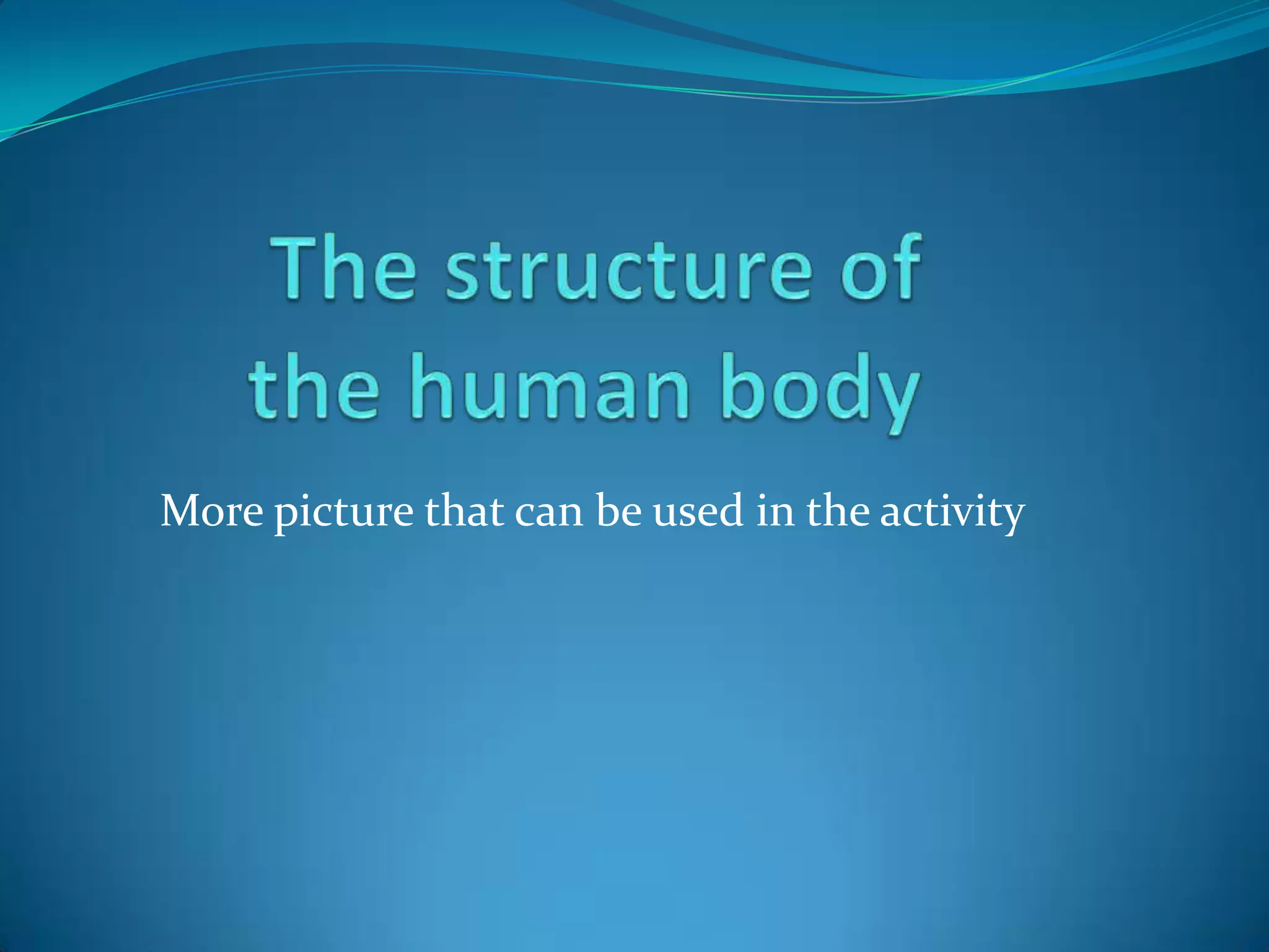 The structure of the human body | PPT