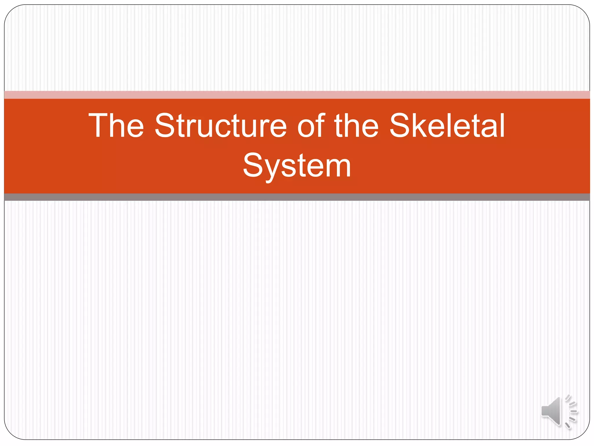 GCSE PE Revision: The structure of the skeletal system | PPTX