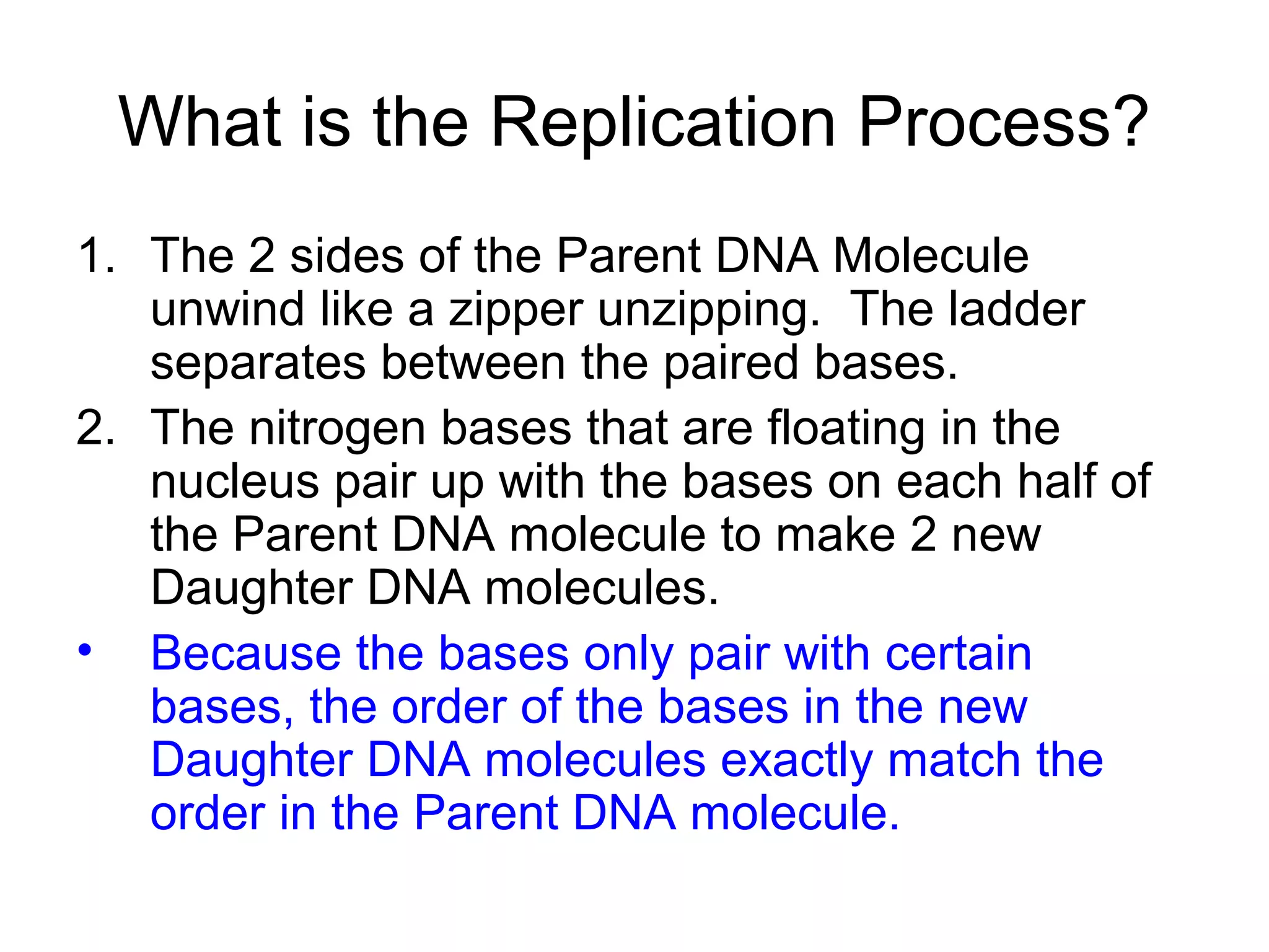 Basics of DNA Replication | PPT
