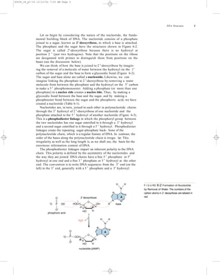 The structures of DNA & RNA | PPTX