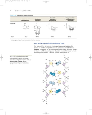 The structures of DNA & RNA | PPTX