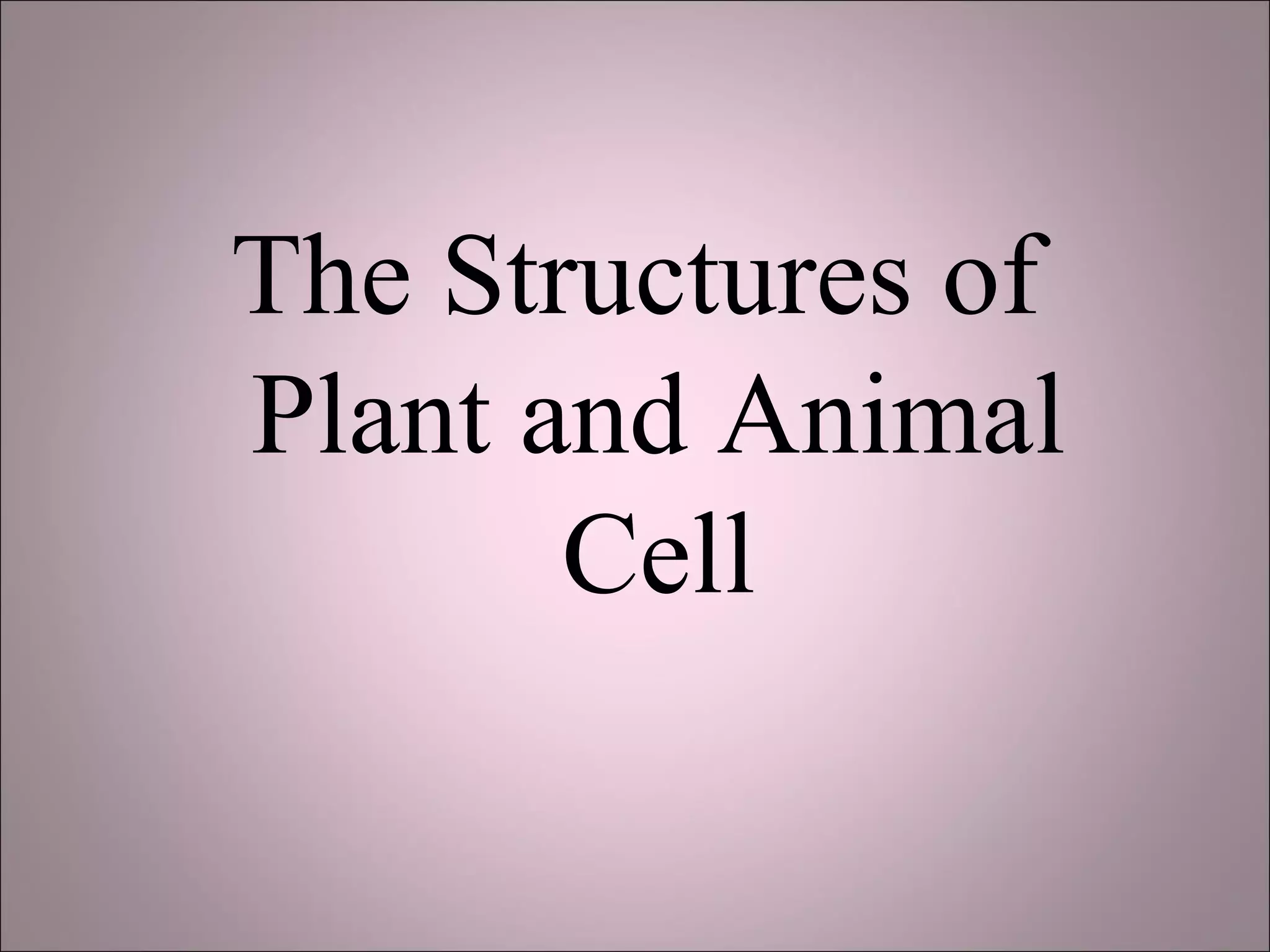 The Structures & Functions of Plant and Animal Cell | PPT