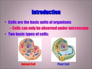 The Structures & Functions of Plant and Animal Cell | PPT