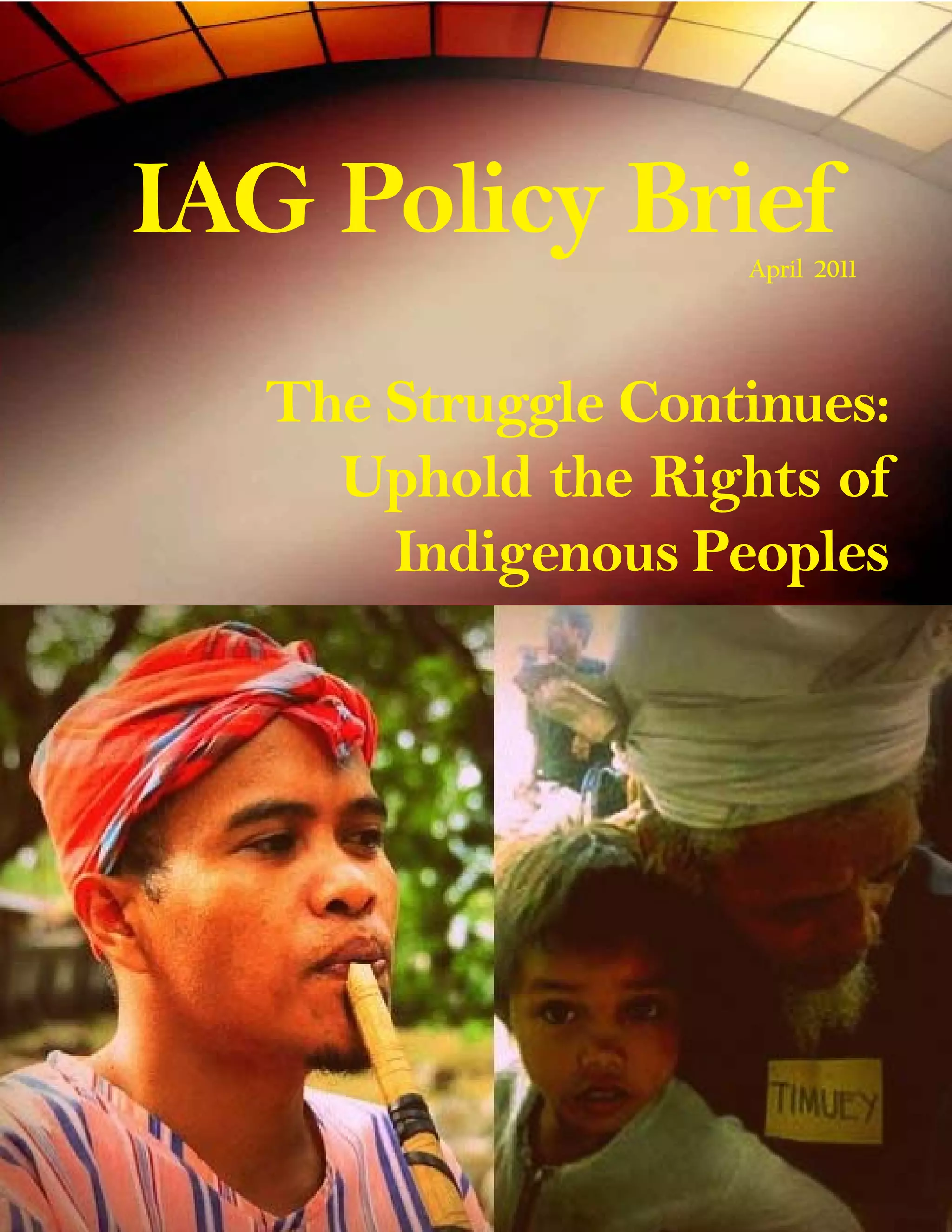 The struggle continues uphold thr rights of indigenous peoples | PDF