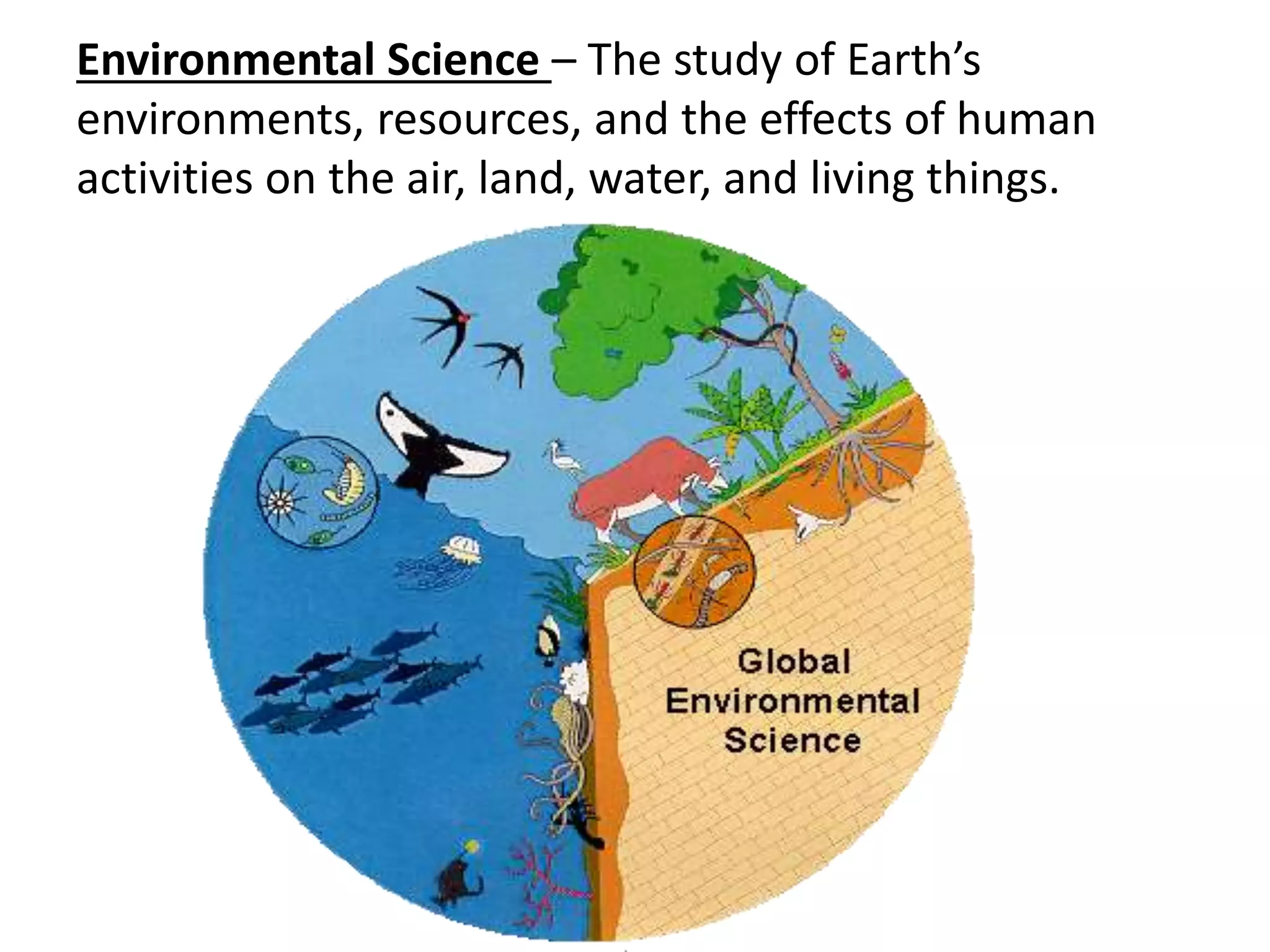 Branches of Earth Science | PPTX
