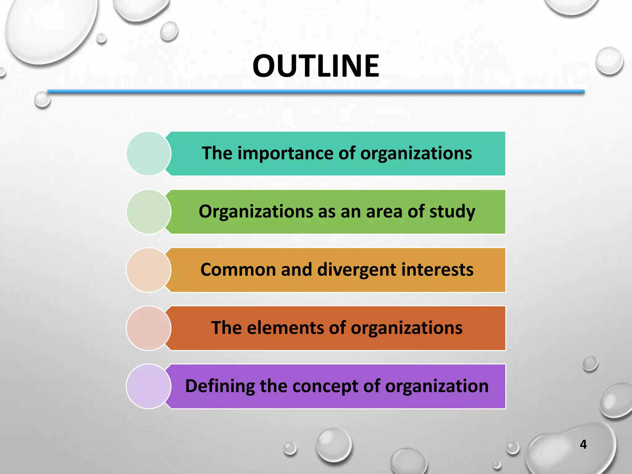 THE SUBJECT IS ORGANIZATIONS.pptx