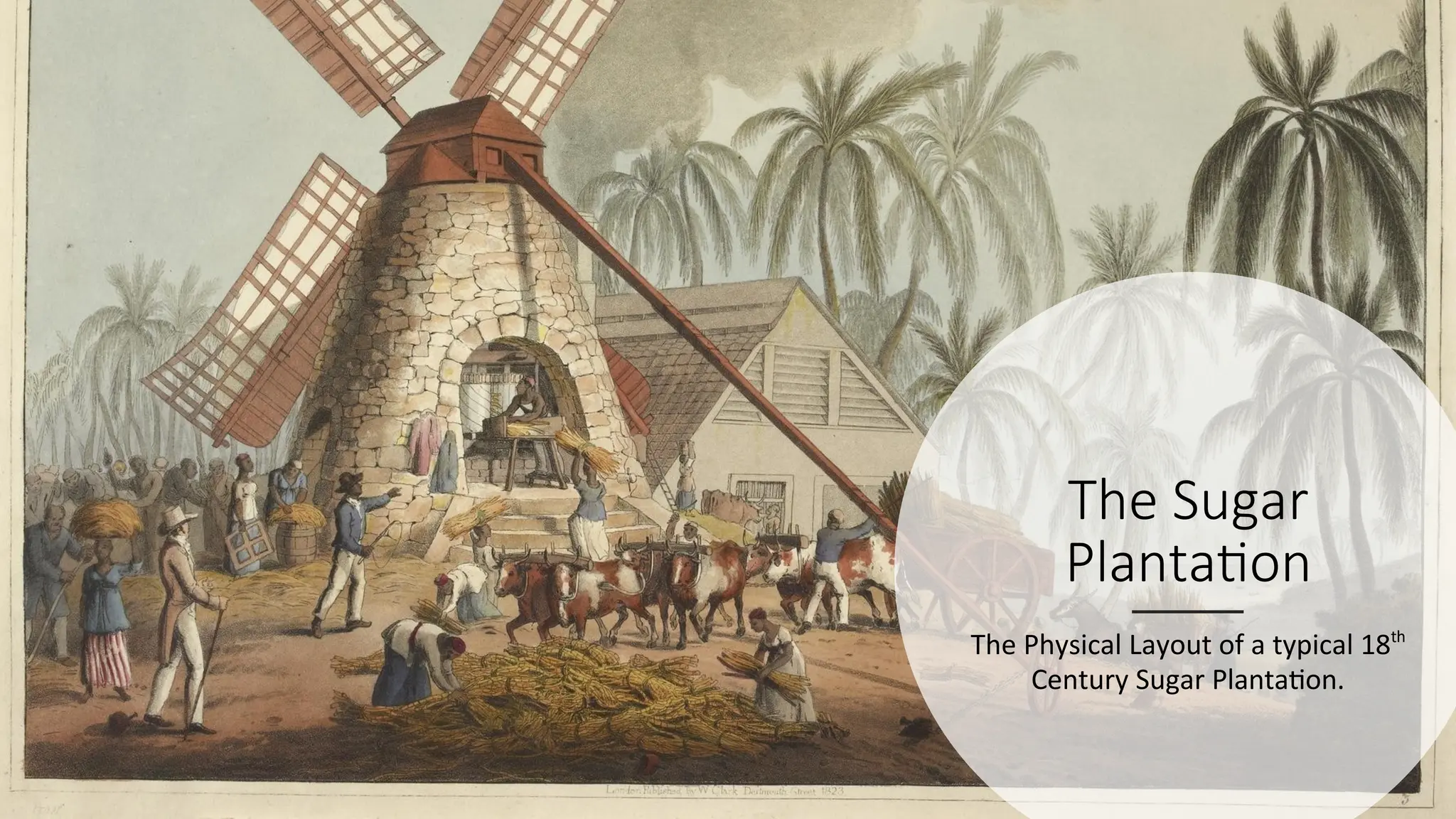 The Sugar Plantation (Form 2 Presentation).doc