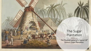 The Sugar Plantation (Form 2 Presentation).doc