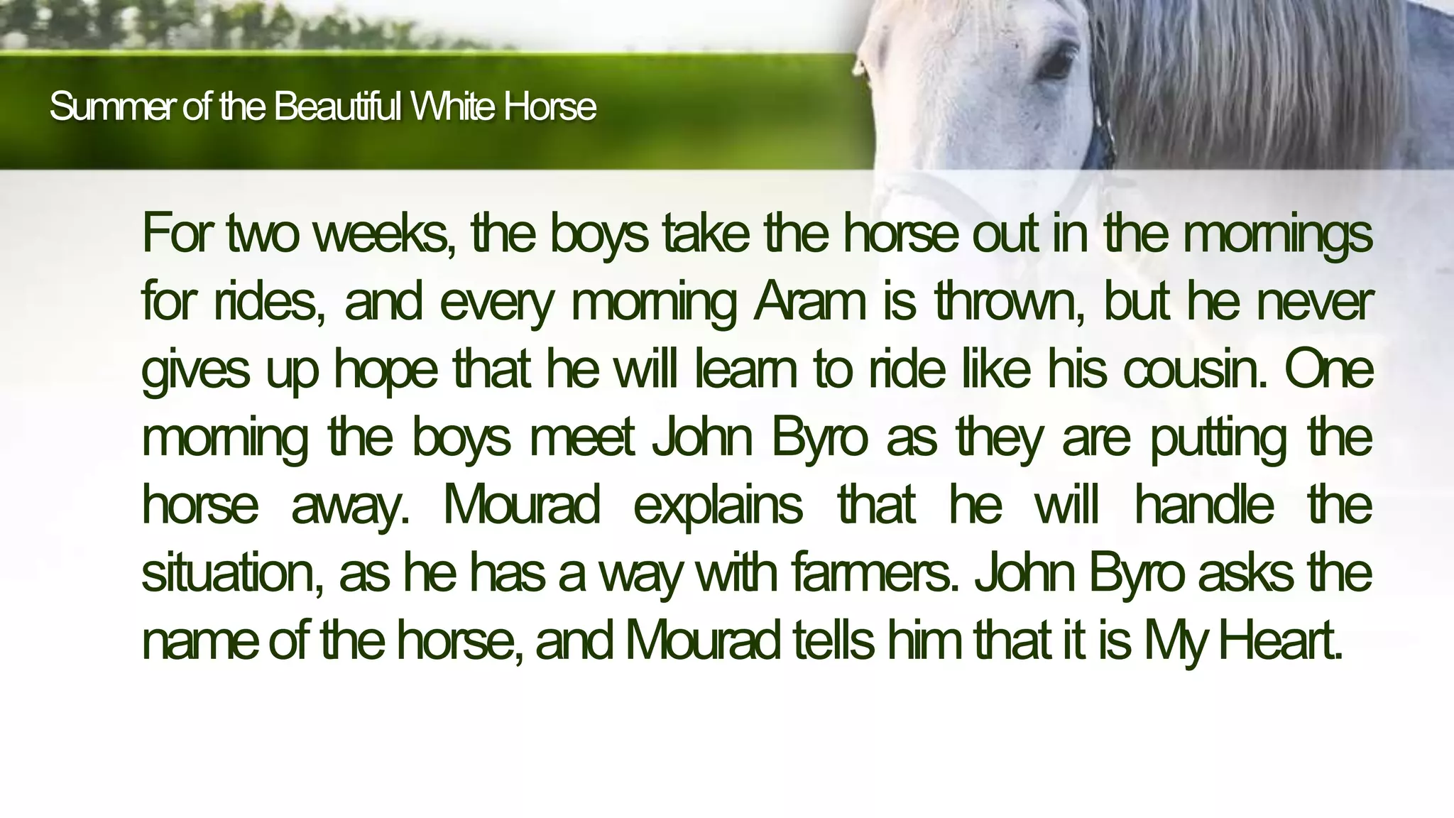 The summer of a Beautiful White Horse.pptx