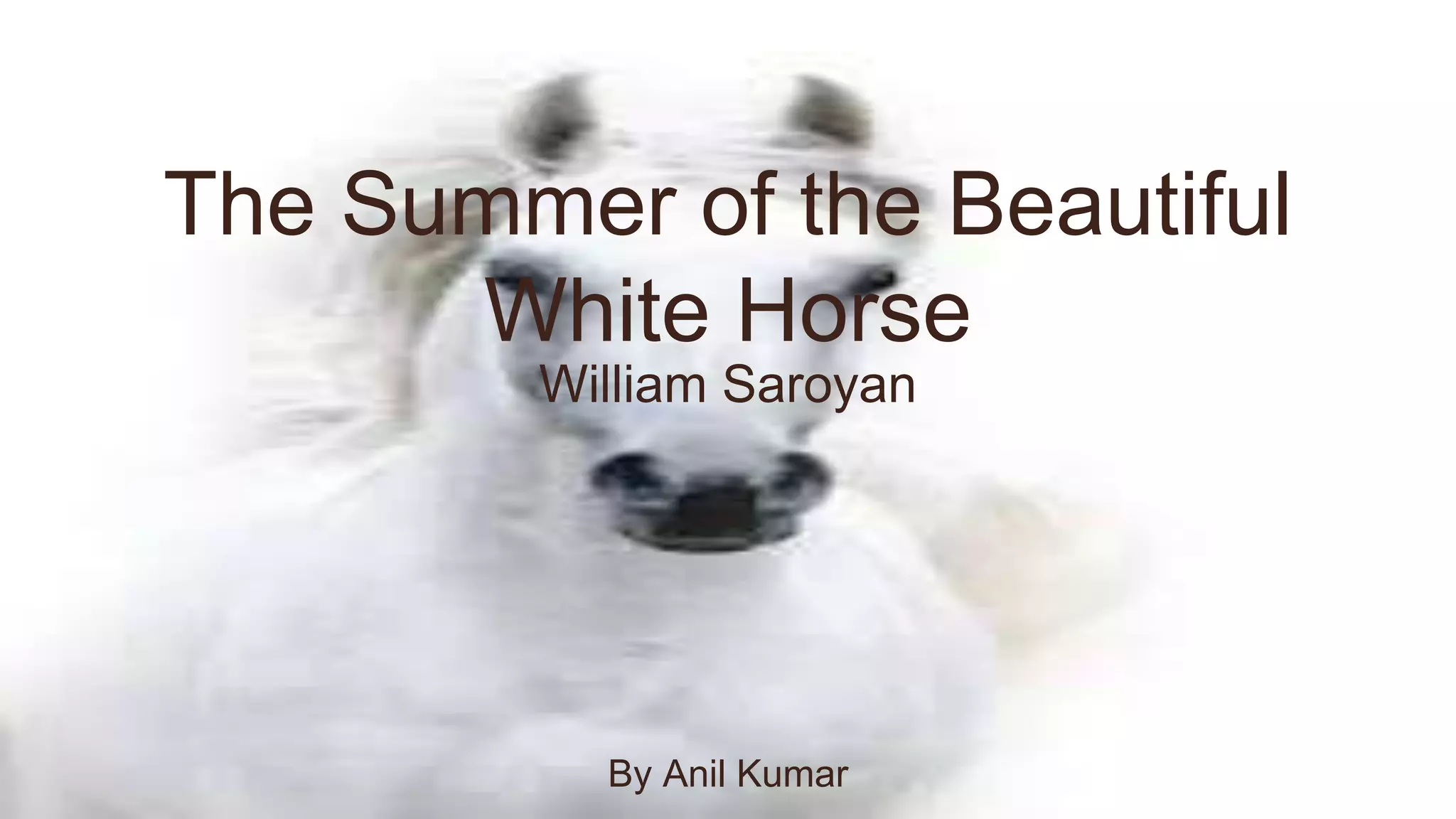 The summer of the beautiful white horse | PPTX