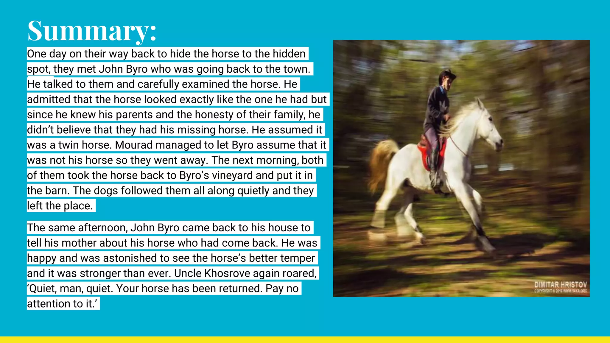 The summer of the beautiful white horse | PPTX