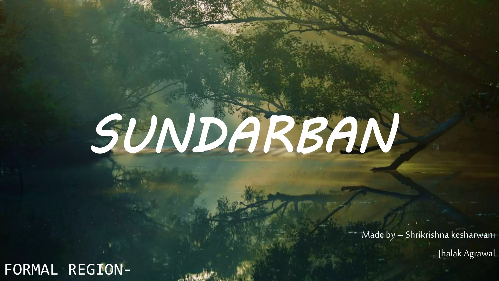 The sunder ban region (formal region) , Ahmedabad ( functional region ...