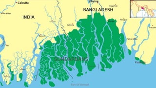 The sunder ban region (formal region) , Ahmedabad ( functional region ...