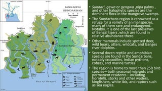 The sunder ban region (formal region) , Ahmedabad ( functional region ...