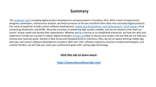 The Sunflower Lab POWER Bi.pdf