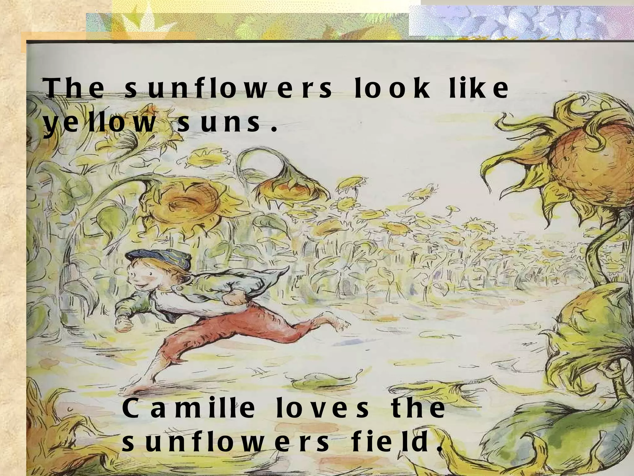 The sunflowers | PPT