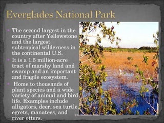 The Sunshine State Florida | PPT