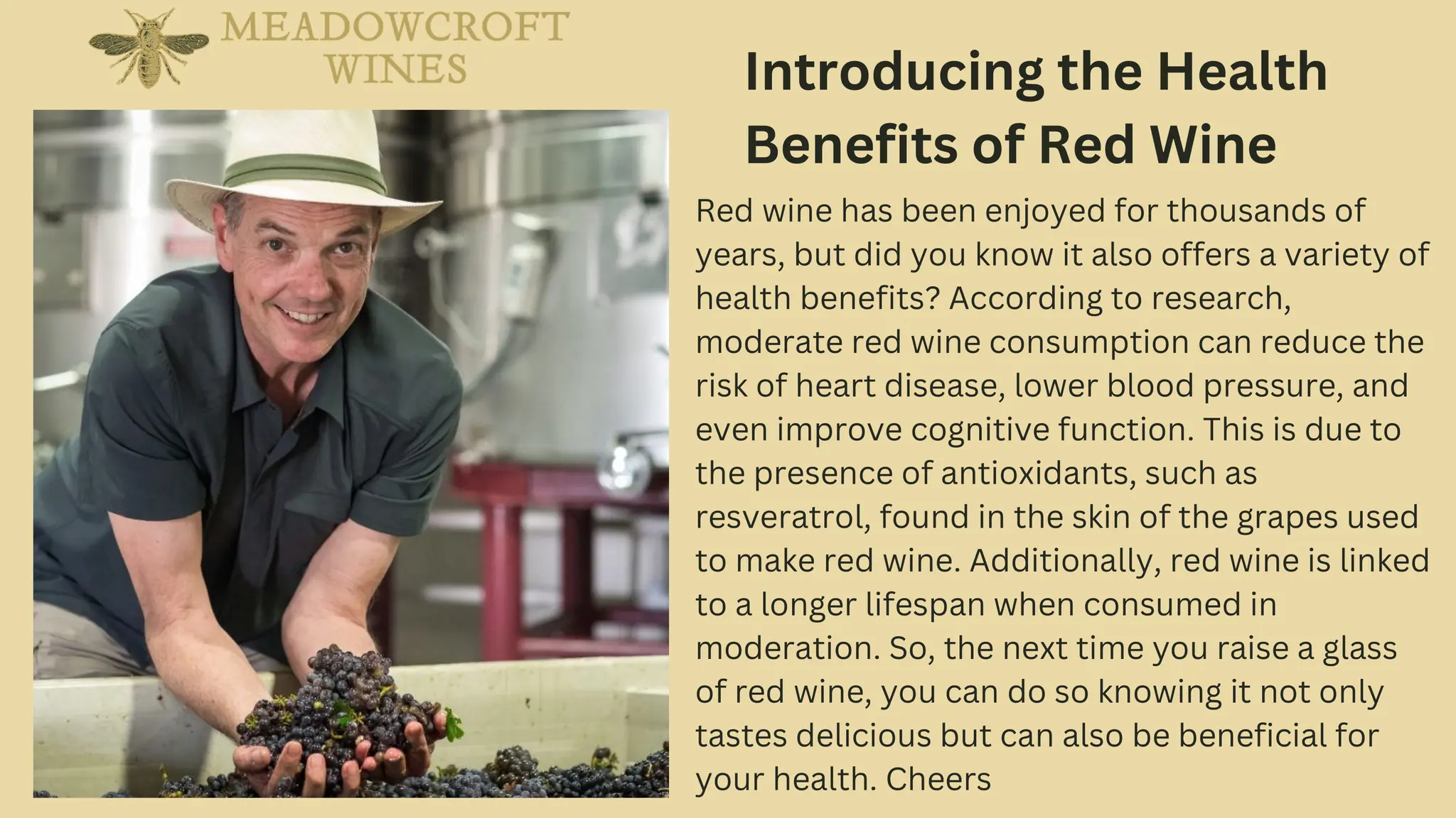 THE SURPRISING HEALTH BENEFITS OF RED WINE.pdf