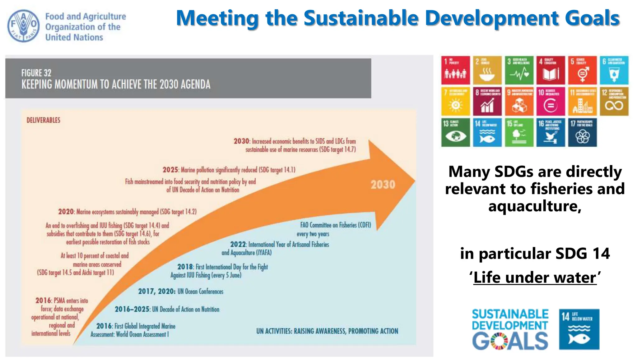The Sustainable Aquaculture Guidelines.pptx